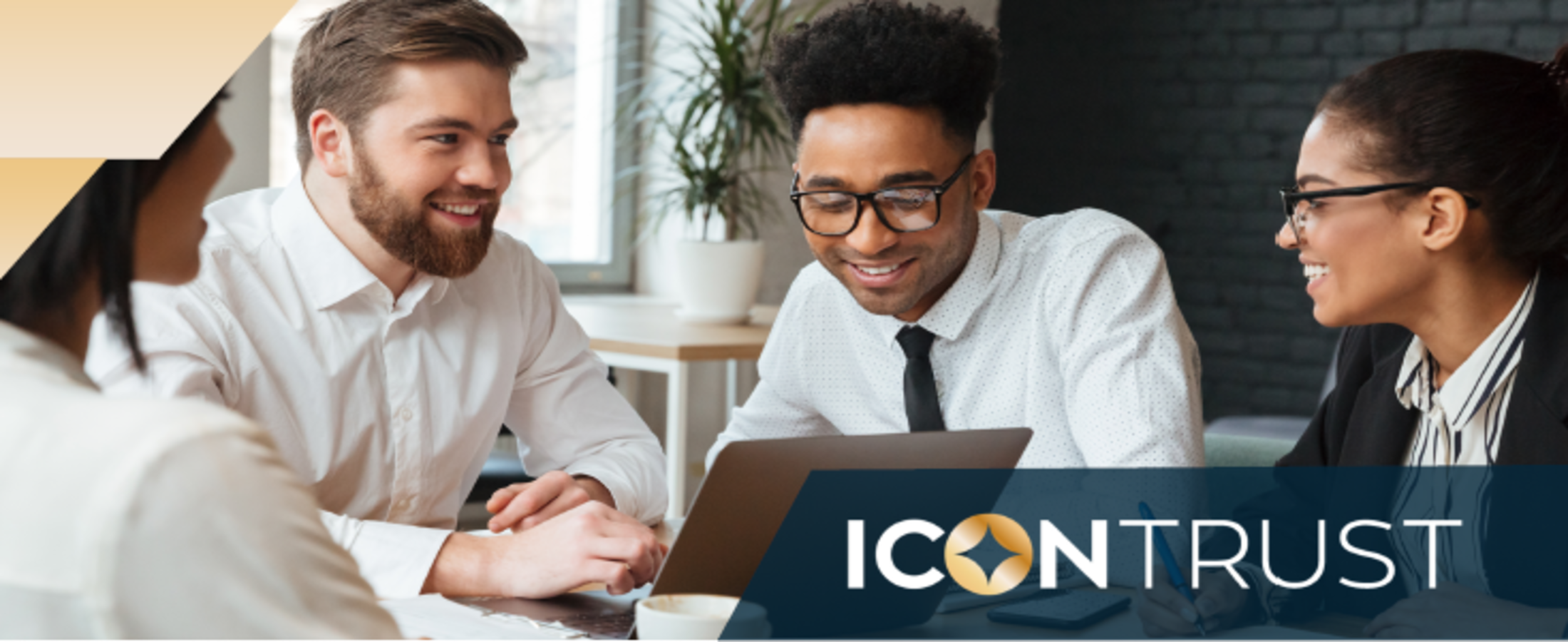 What is an Effective Directed Trust? - IconTrust